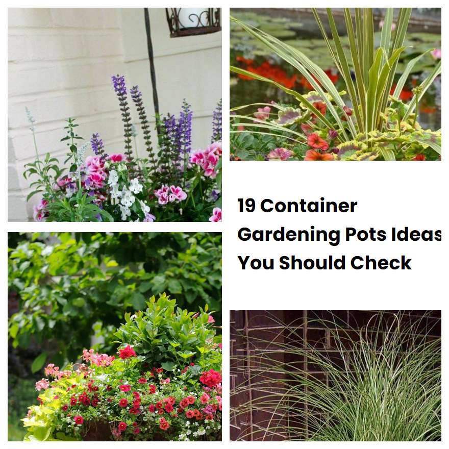 19 Container Gardening Pots Ideas You Should Check | SharonSable