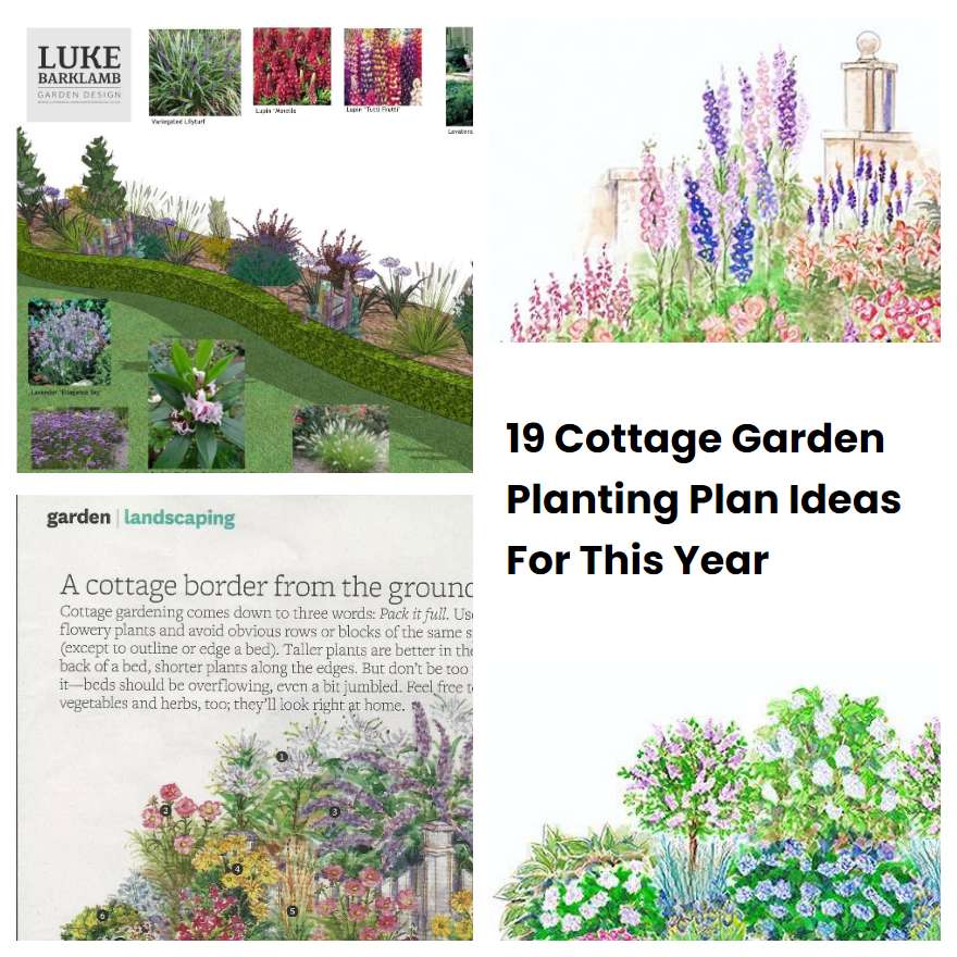 19 Cottage Garden Planting Plan Ideas For This Year | SharonSable