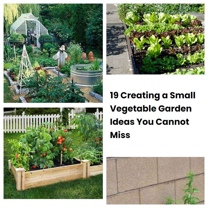 19 Creating a Small Vegetable Garden Ideas You Cannot Miss | SharonSable