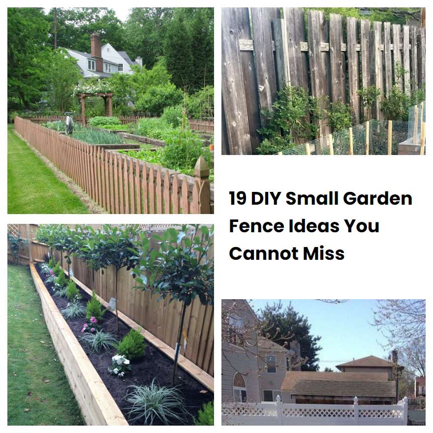 19 DIY Small Garden Fence Ideas You Cannot Miss | SharonSable