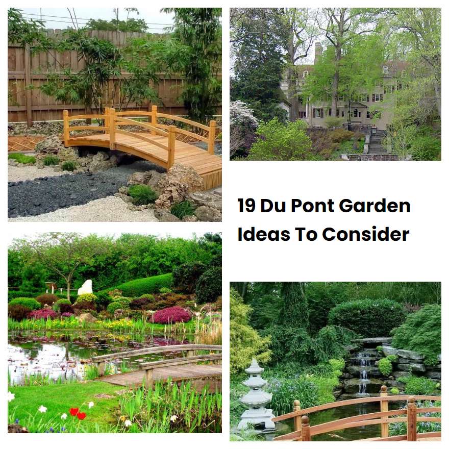 20 Flower Garden Archways Ideas To Try This Year | SharonSable