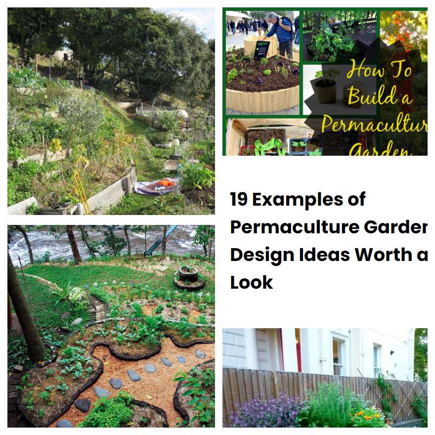 19 Examples of Permaculture Garden Design Ideas Worth a Look | SharonSable