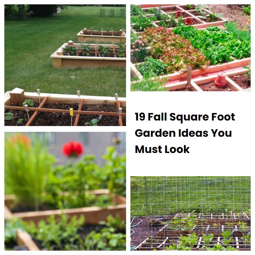 19 Fall Square Foot Garden Ideas You Must Look | SharonSable