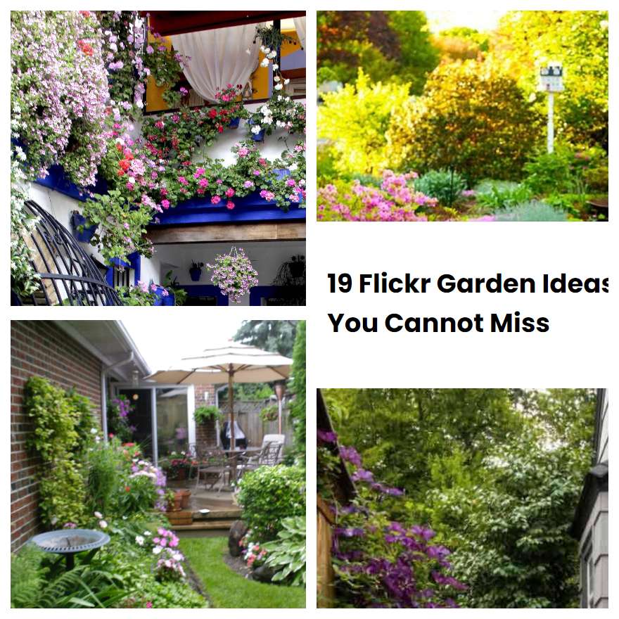 19 Flickr Garden Ideas You Cannot Miss | SharonSable