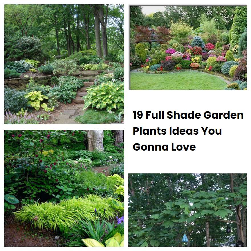 19 Full Shade Garden Plants Ideas You Gonna Love | SharonSable