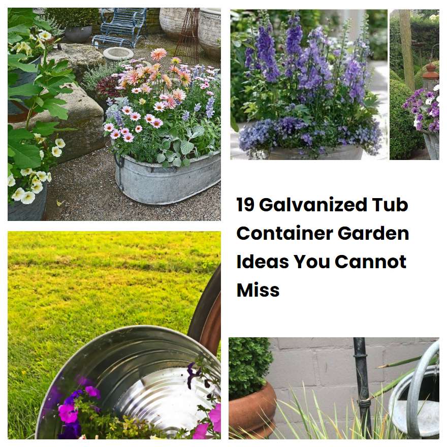 19 Galvanized Tub Container Garden Ideas You Cannot Miss | SharonSable