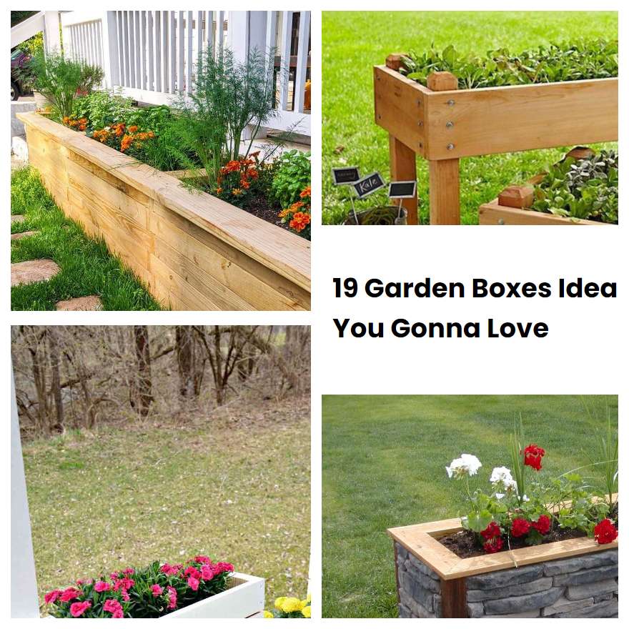 19 Garden Boxes Ideas You Gonna Love | SharonSable