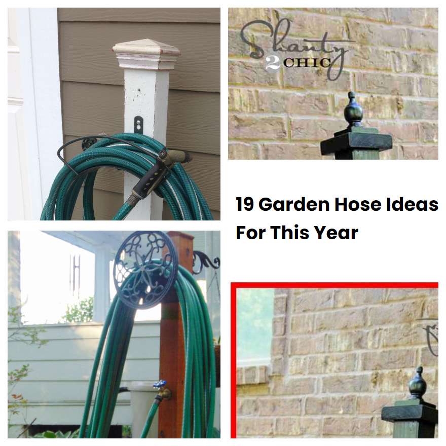 19 Garden Hose Ideas For This Year | SharonSable