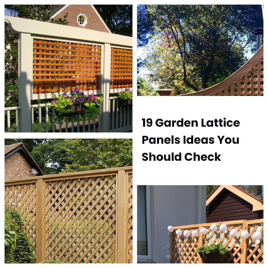 19 Garden Lattice Panels Ideas You Should Check | SharonSable