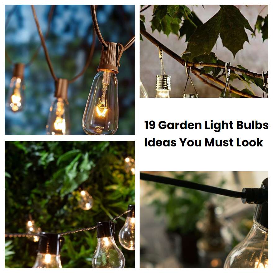 19 Garden Light Bulbs Ideas You Must Look | SharonSable