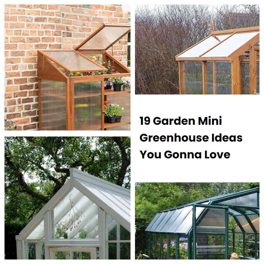 19 Garden Mini Greenhouse Ideas You Gonna Love | SharonSable