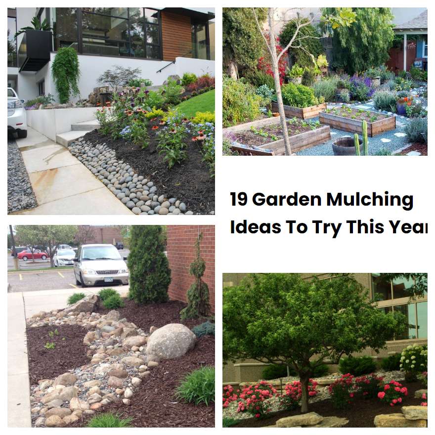 19 Garden Mulching Ideas To Try This Year | SharonSable