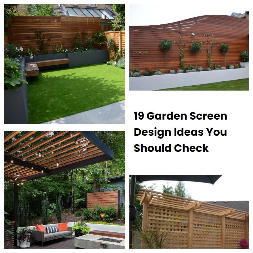 19 Garden Screen Design Ideas You Should Check | SharonSable