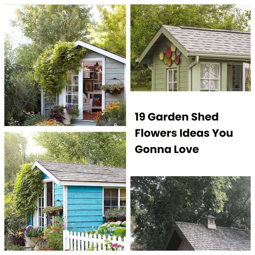 19 Garden Shed Flowers Ideas You Gonna Love | SharonSable