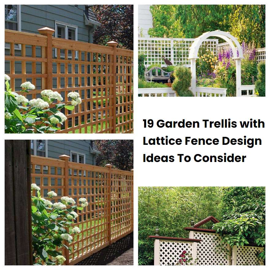 19 Garden Trellis with Lattice Fence Design Ideas To Consider | SharonSable