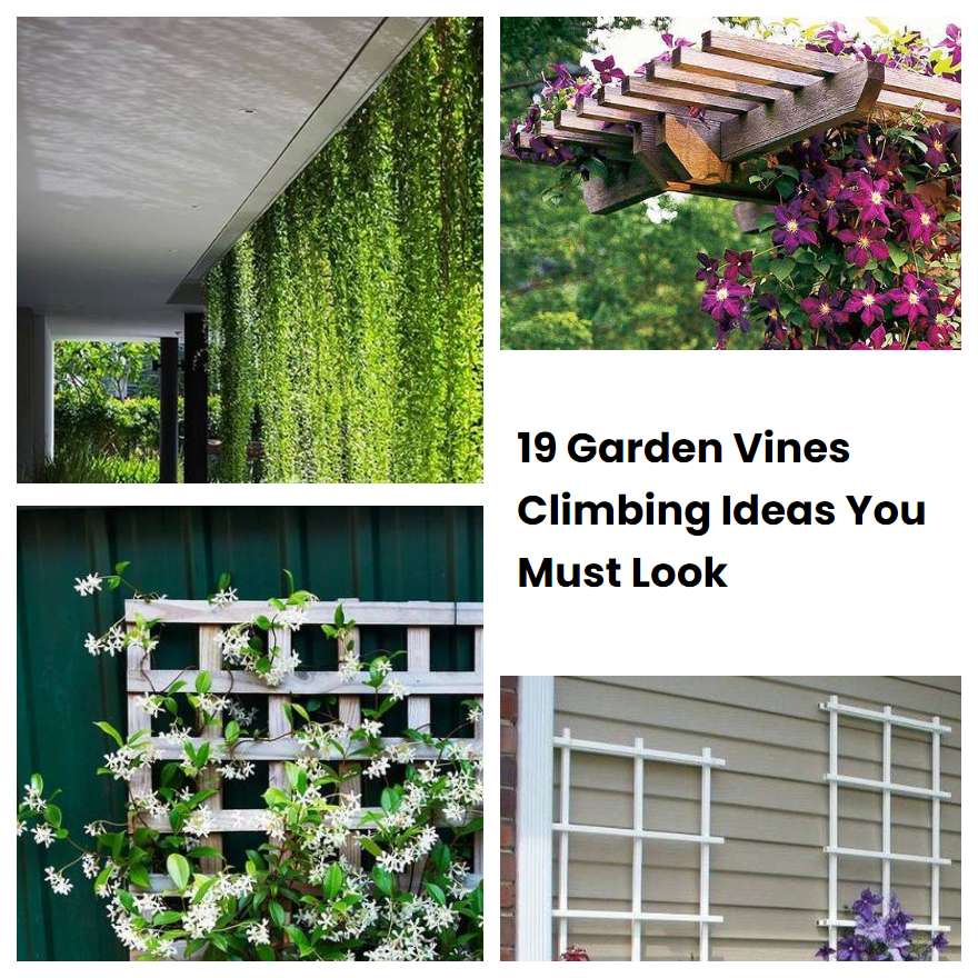 24 Small Prayer Garden Ideas You Must Look | SharonSable