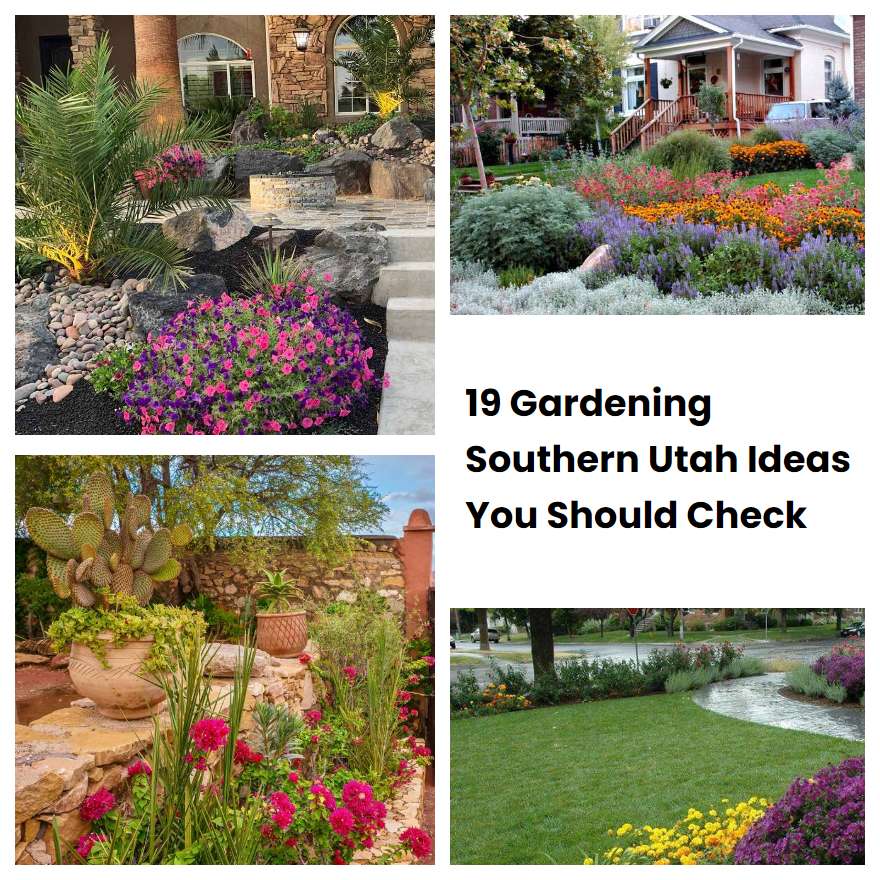 19 Gardening Southern Utah Ideas You Should Check | SharonSable