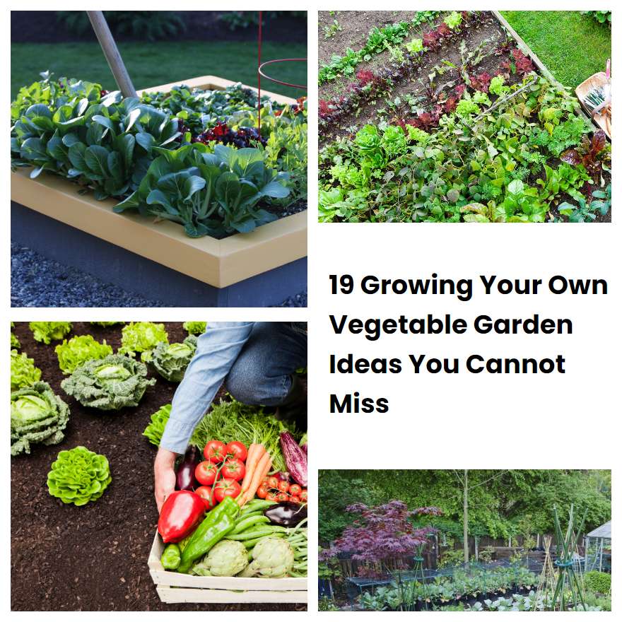 19 Growing Your Own Vegetable Garden Ideas You Cannot Miss | SharonSable