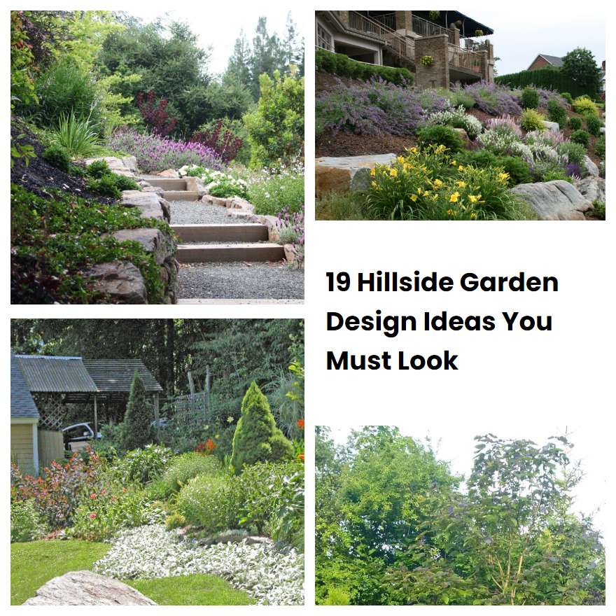 19 Hillside Garden Design Ideas You Must Look | SharonSable