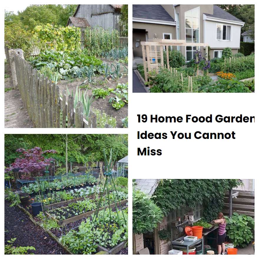 19 Home Food Garden Ideas You Cannot Miss | SharonSable