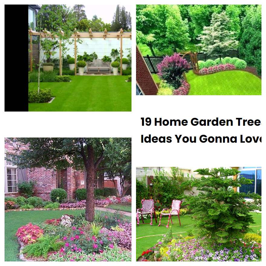 19 Home Garden Trees Ideas You Gonna Love | SharonSable