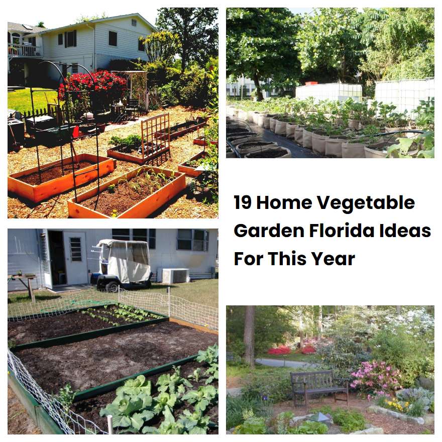 19 Home Vegetable Garden Florida Ideas For This Year | SharonSable