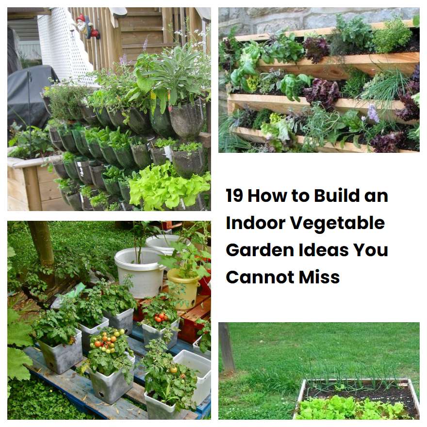19 How to Build an Indoor Vegetable Garden Ideas You Cannot Miss | SharonSable