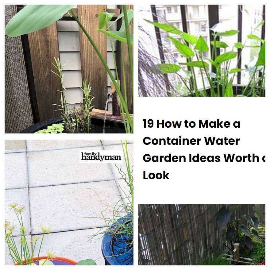 19 How to Make a Container Water Garden Ideas Worth a Look | SharonSable