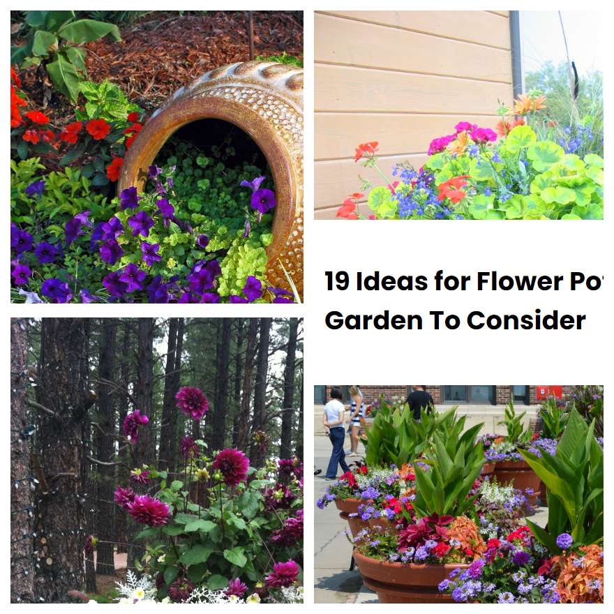 19 Ideas for Flower Pot Garden To Consider | SharonSable