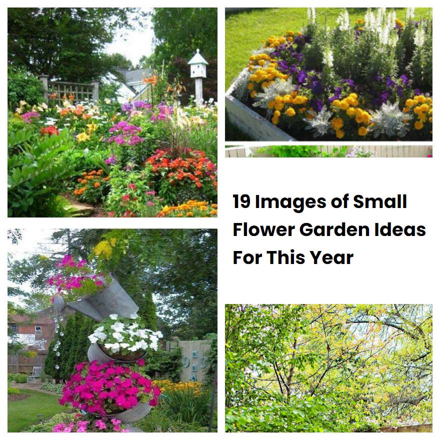 19 Images of Small Flower Garden Ideas For This Year | SharonSable