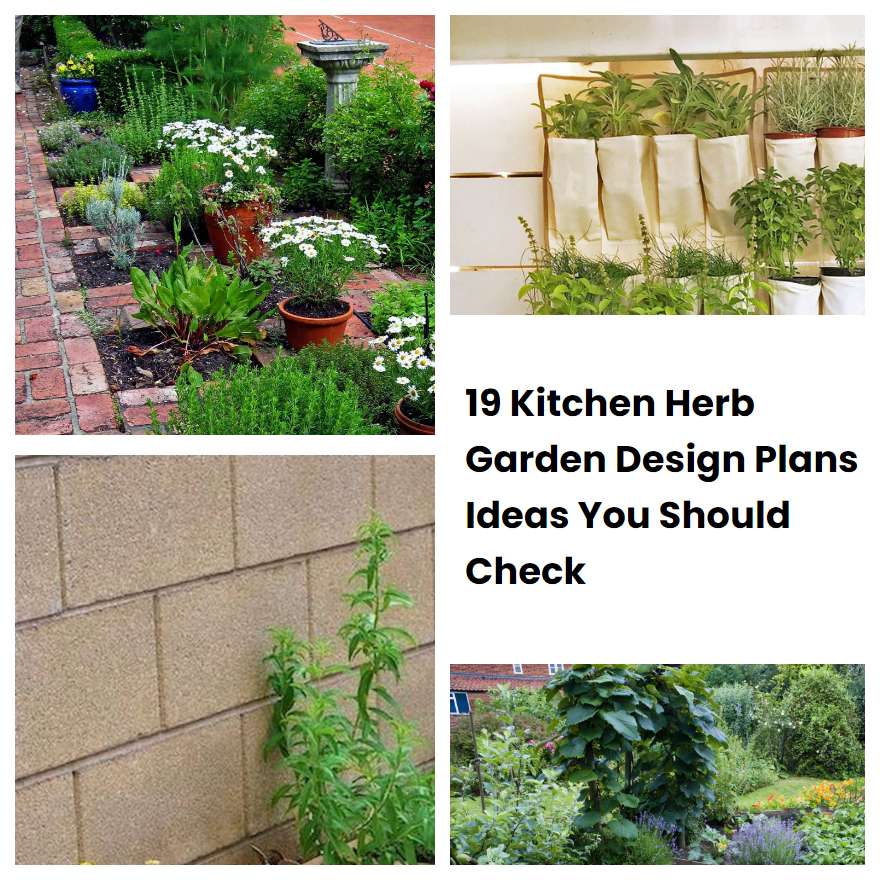 19 Kitchen Herb Garden Design Plans Ideas You Should Check | SharonSable