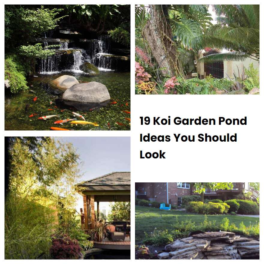 19 Koi Garden Pond Ideas You Should Look | SharonSable