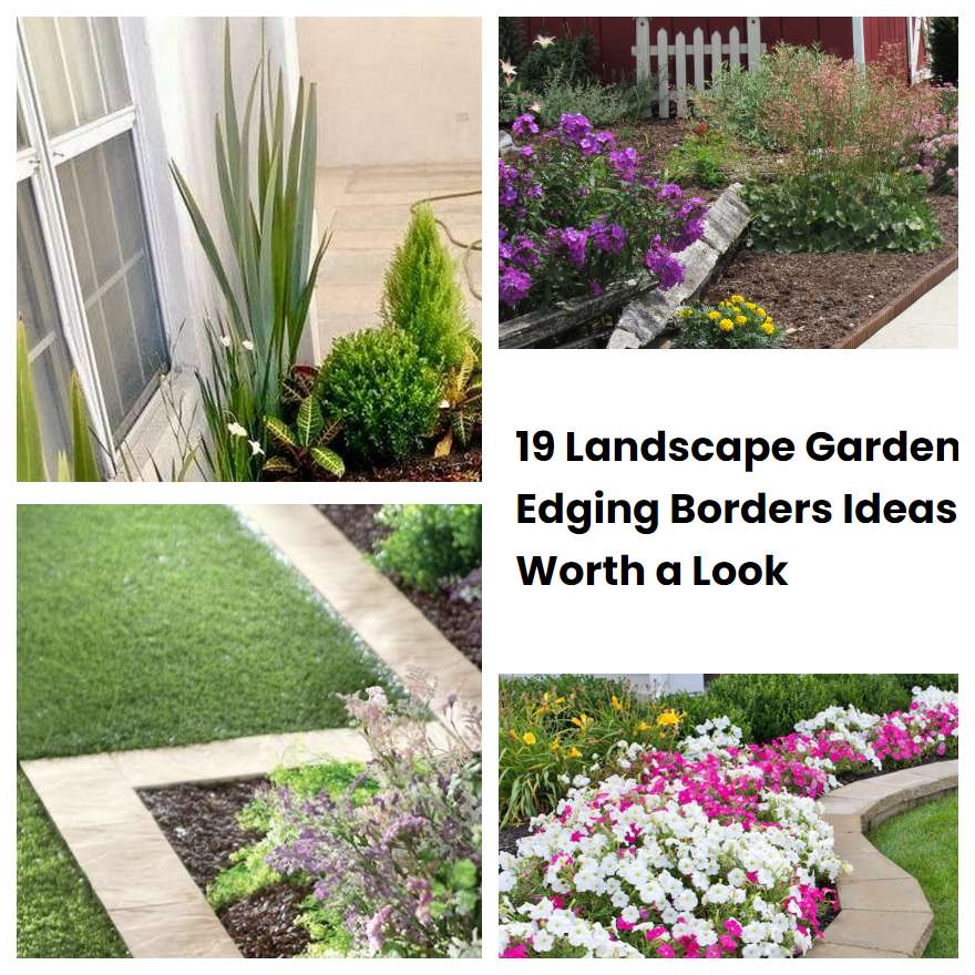 19 Landscape Garden Edging Borders Ideas Worth a Look | SharonSable