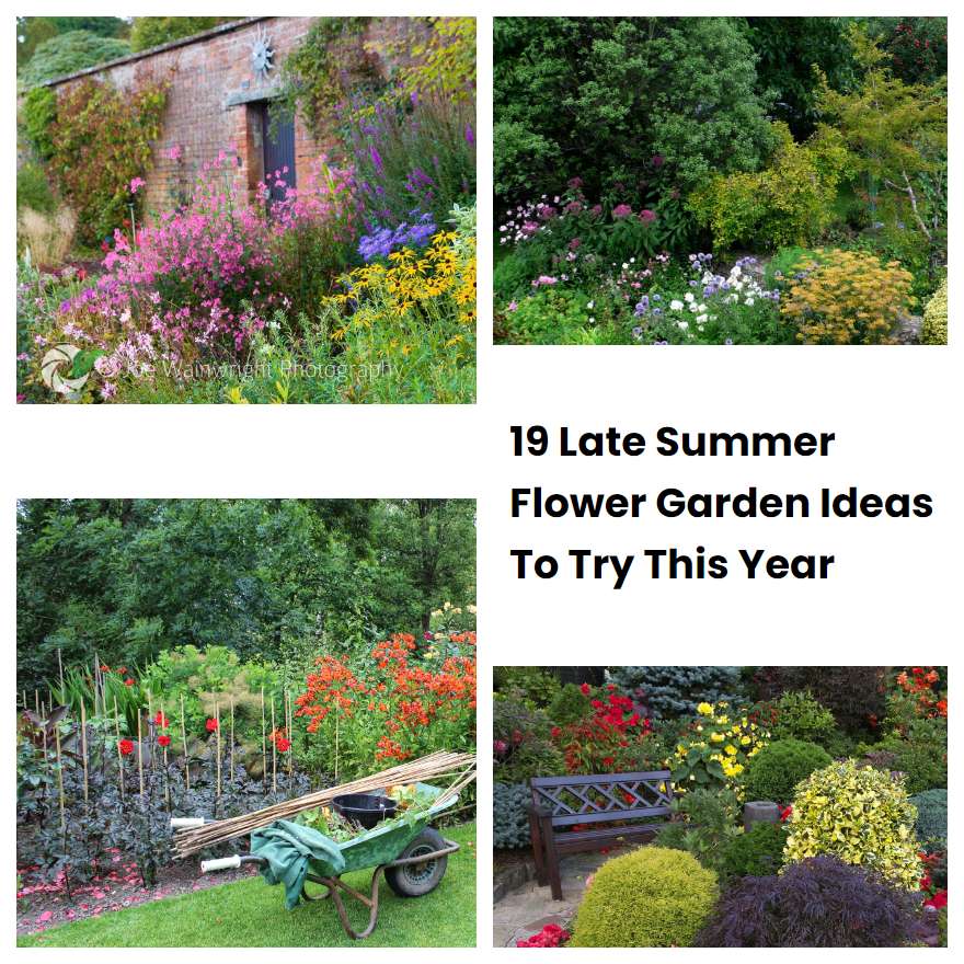 19 Late Summer Flower Garden Ideas To Try This Year | SharonSable