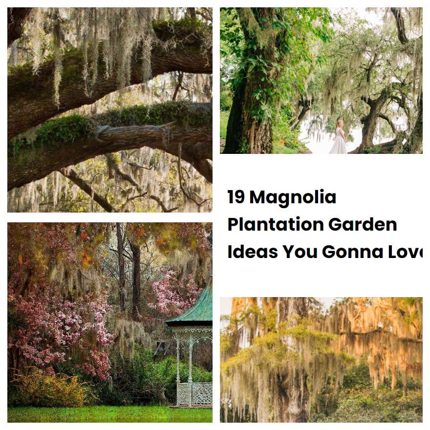 19 Magnolia Plantation Garden Ideas You Gonna Love | SharonSable