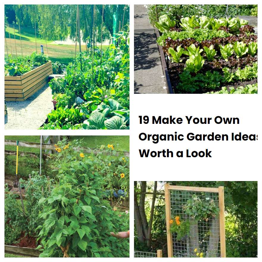 29 Repurposed Garden Containers Ideas To Try This Year | SharonSable