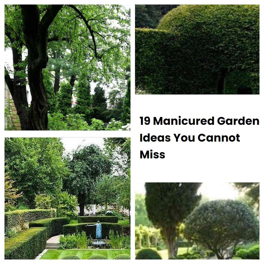 19 Manicured Garden Ideas You Cannot Miss | SharonSable