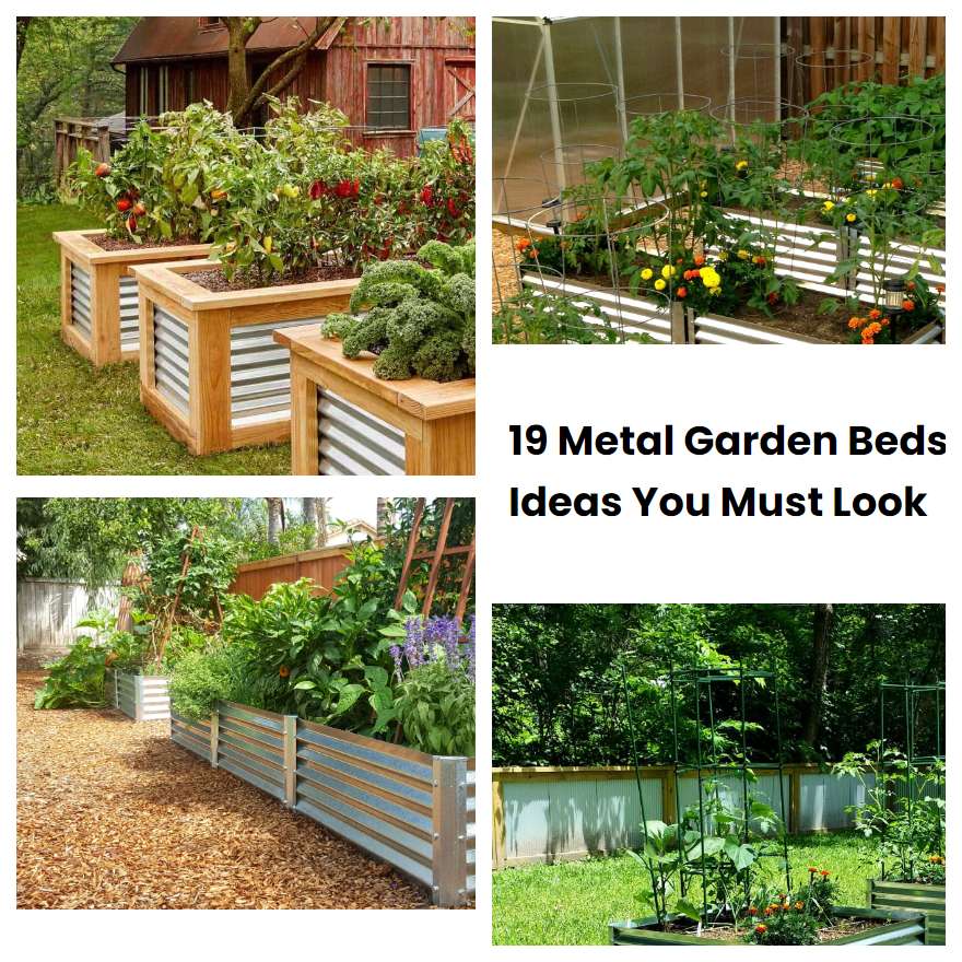 19 Metal Garden Beds Ideas You Must Look | SharonSable