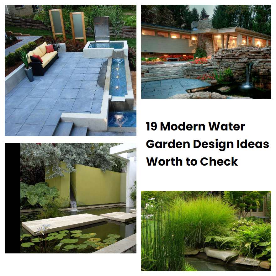 19 Modern Water Garden Design Ideas Worth to Check | SharonSable