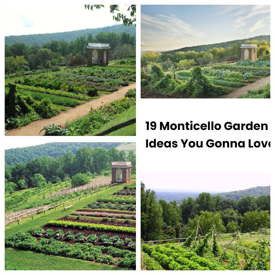 19 Monticello Garden Ideas You Gonna Love | SharonSable