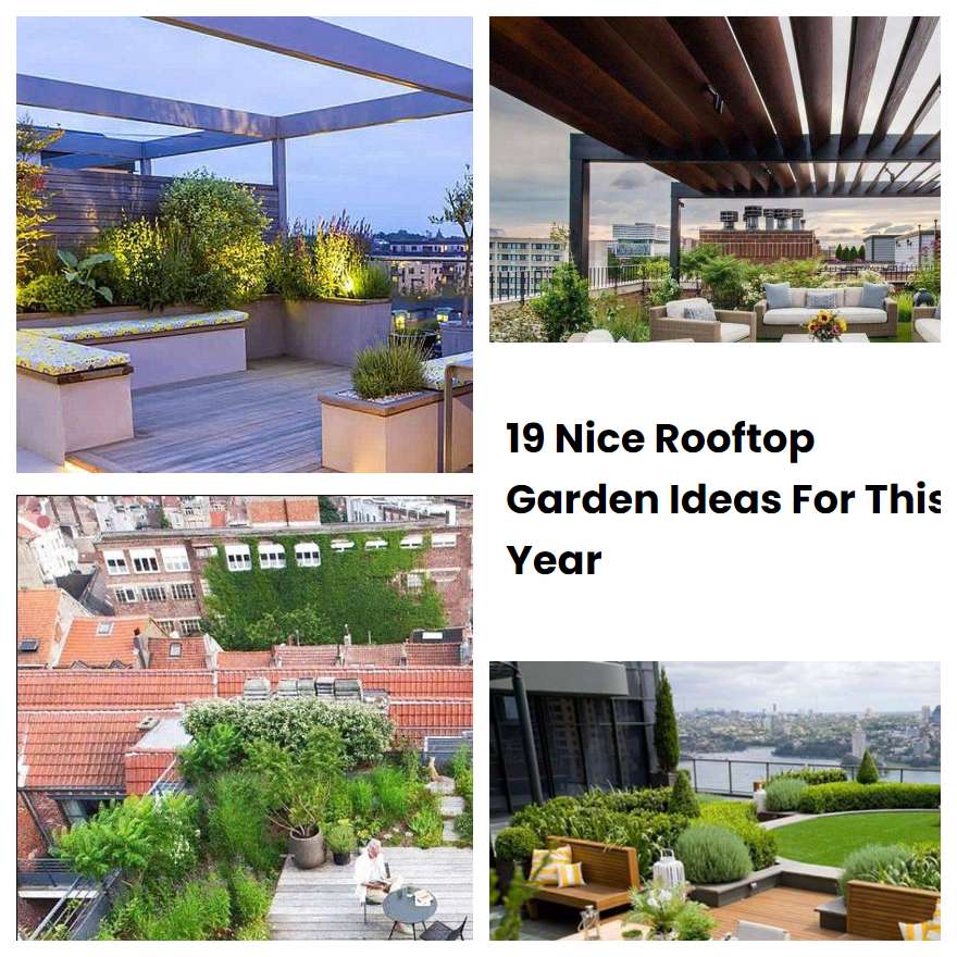 19 Nice Rooftop Garden Ideas For This Year | SharonSable
