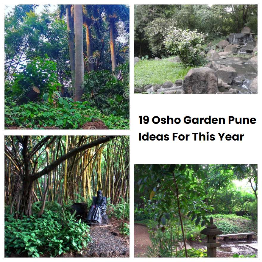 19 Osho Garden Pune Ideas For This Year | SharonSable