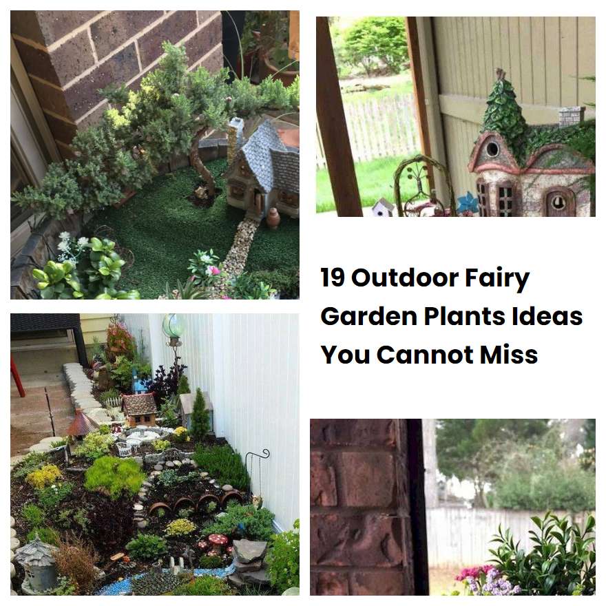 19 Outdoor Fairy Garden Plants Ideas You Cannot Miss | SharonSable