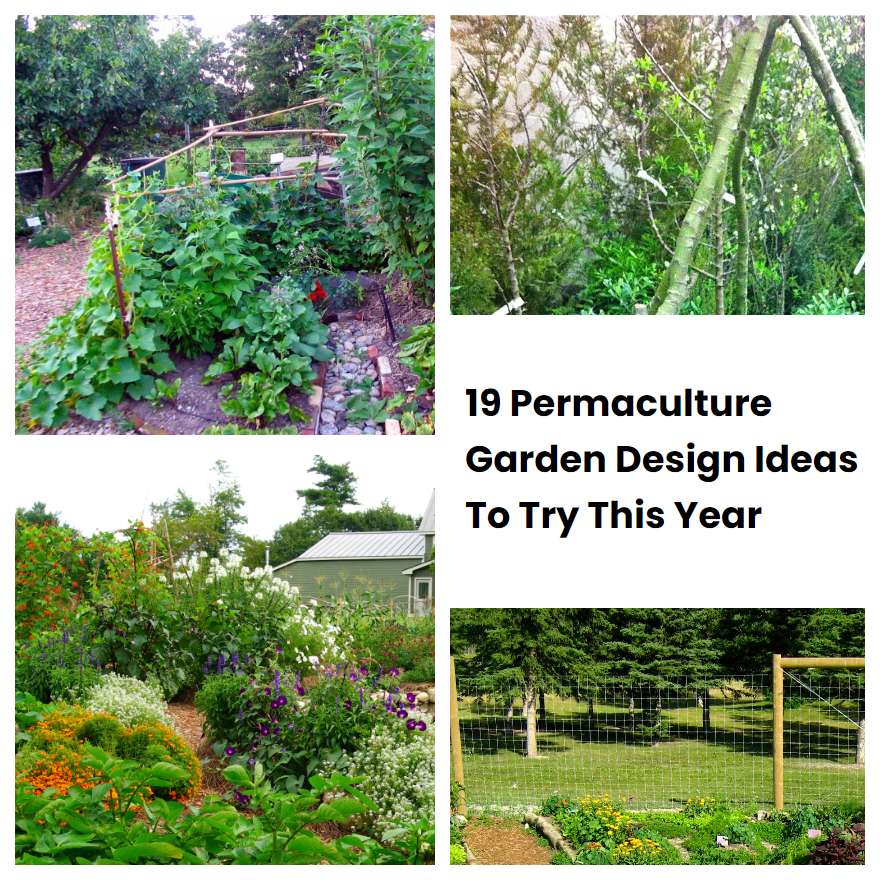 19 Permaculture Garden Design Ideas To Try This Year | SharonSable