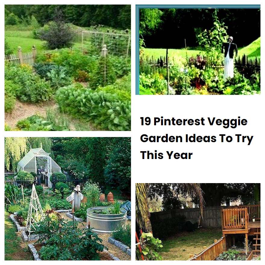19 Pinterest Veggie Garden Ideas To Try This Year | SharonSable