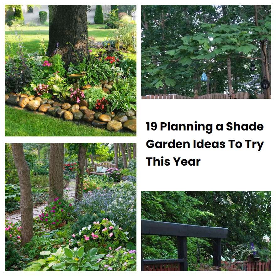 19 Planning a Shade Garden Ideas To Try This Year | SharonSable