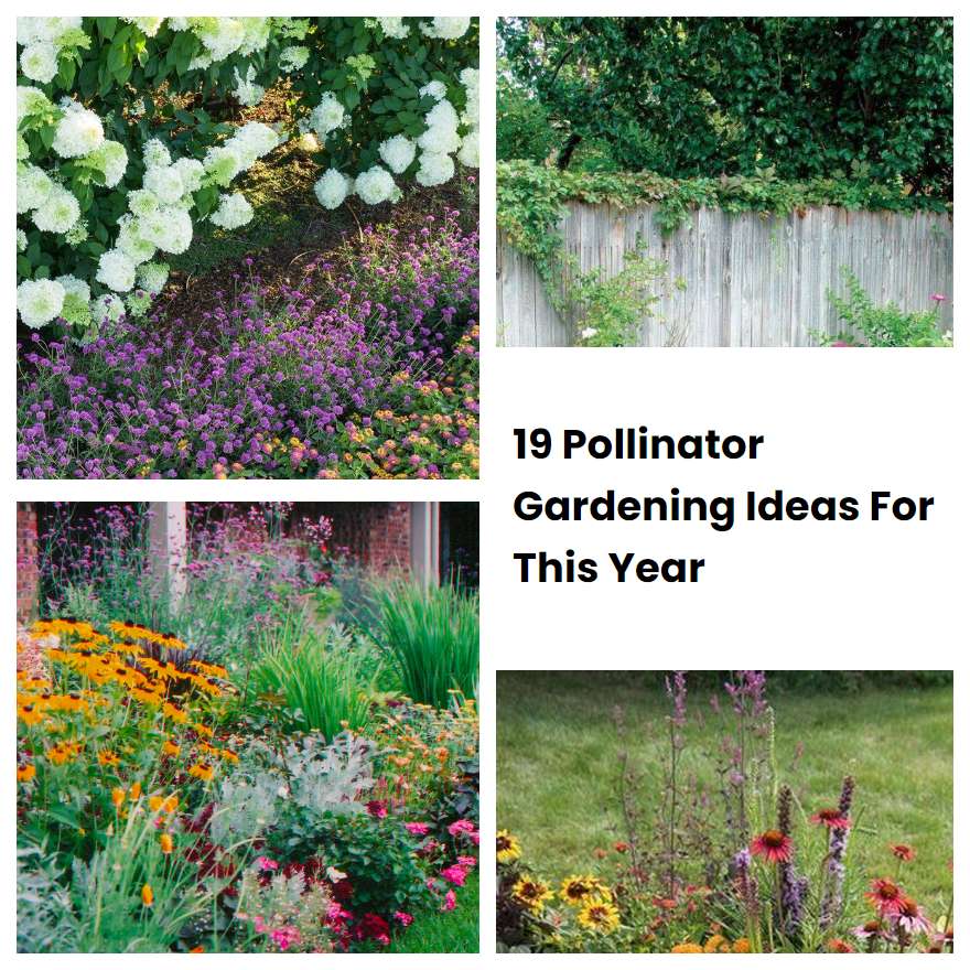 24 Circular Landscape Garden Design Ideas Worth a Look | SharonSable