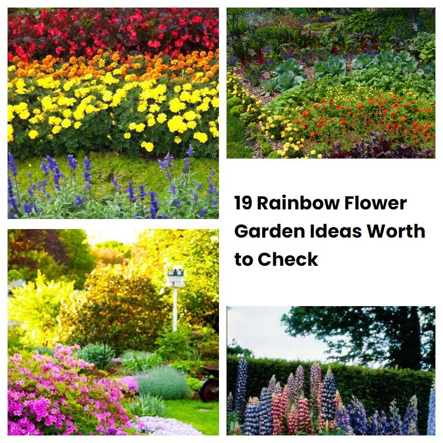 19 Rainbow Flower Garden Ideas Worth to Check | SharonSable