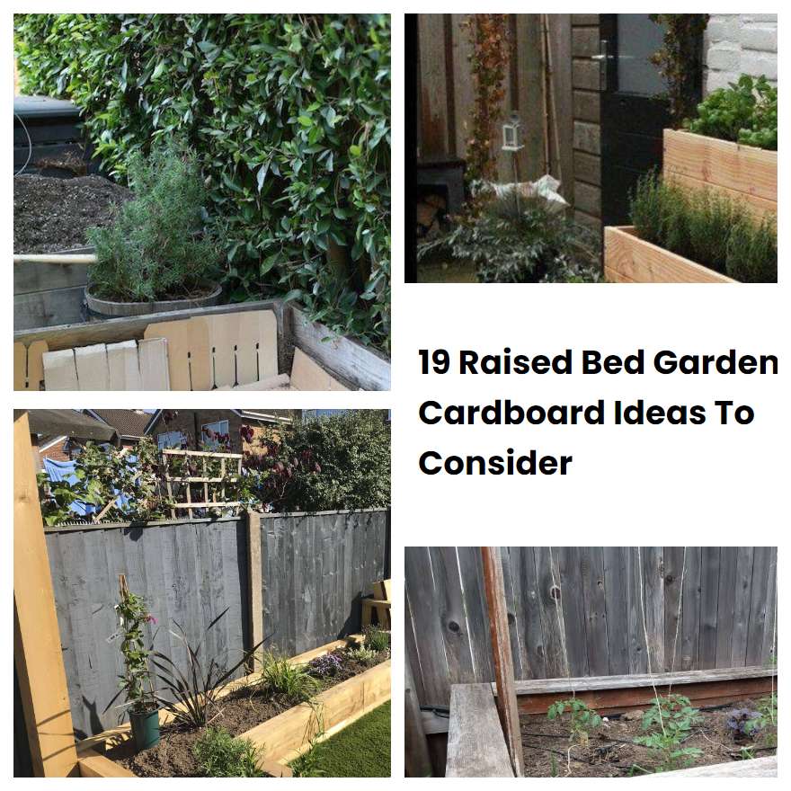 19 Raised Bed Garden Cardboard Ideas To Consider | SharonSable