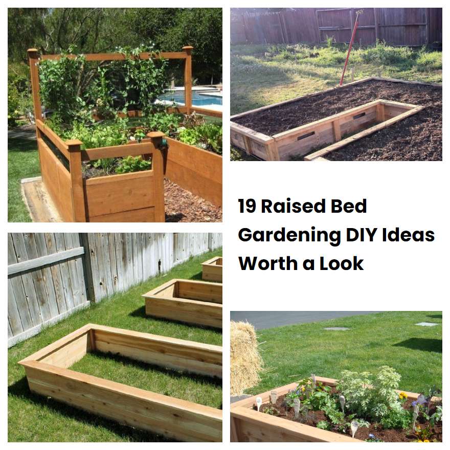19 Raised Bed Gardening DIY Ideas Worth a Look | SharonSable